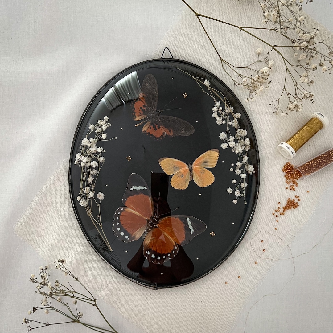 Large Entomology Frame and Its Three Butterflies - Etsy