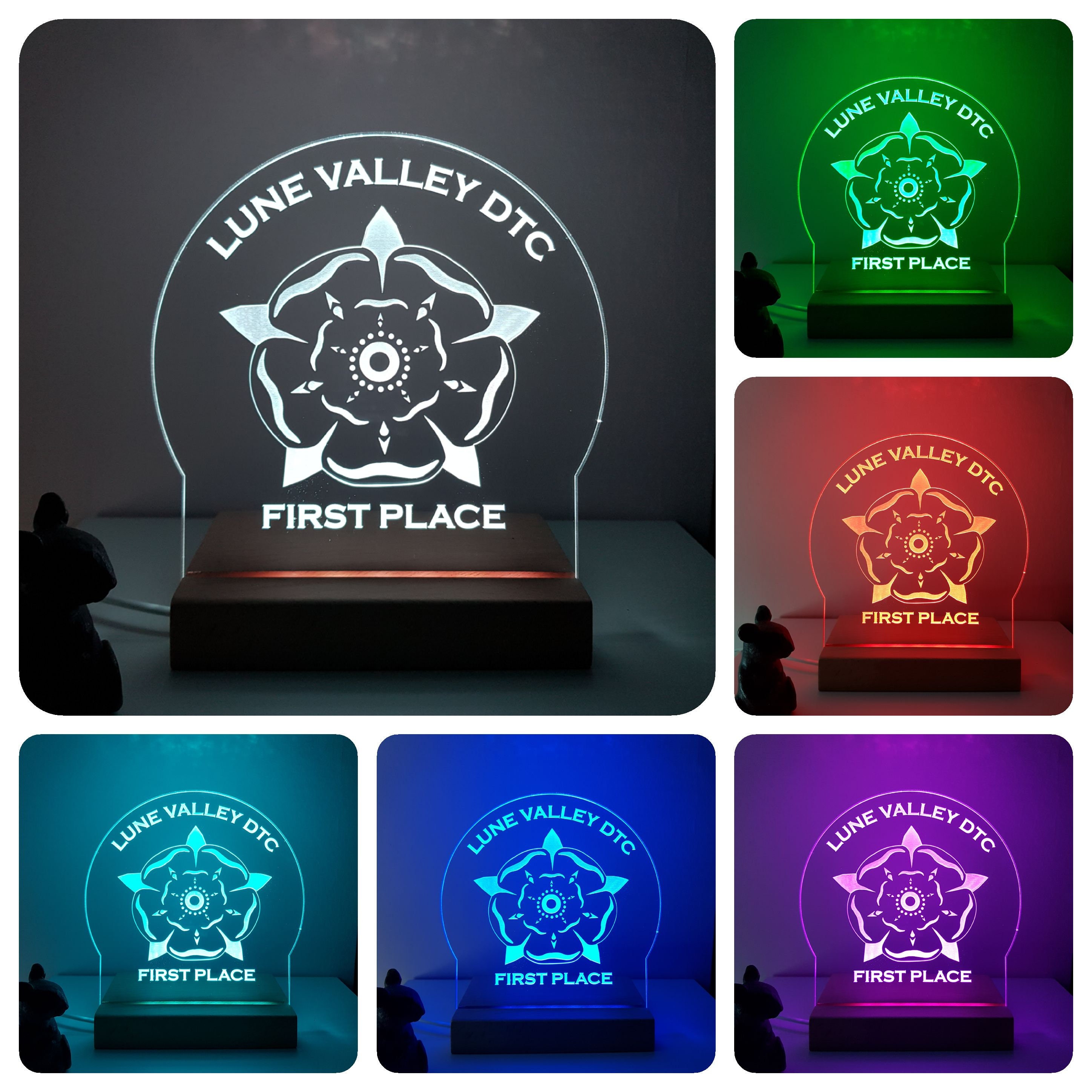 Award Trophy, Award Plaque, Various Styles, Bespoke Sets, Dog Show ...