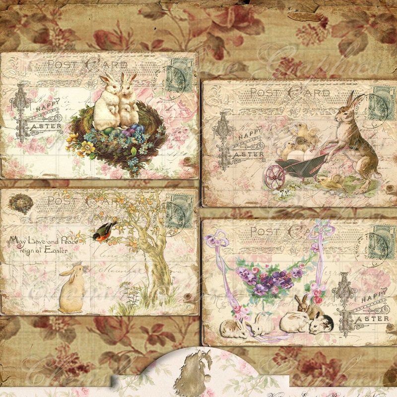 Bunny Postcard - Etsy