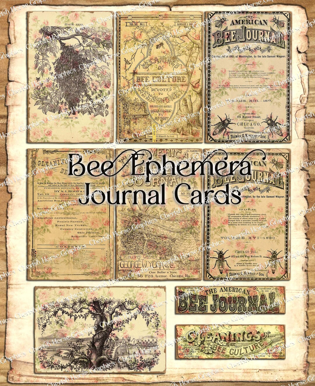 BEE Ephemera Journal Cards - Instant Download Printable Digital Collage ...