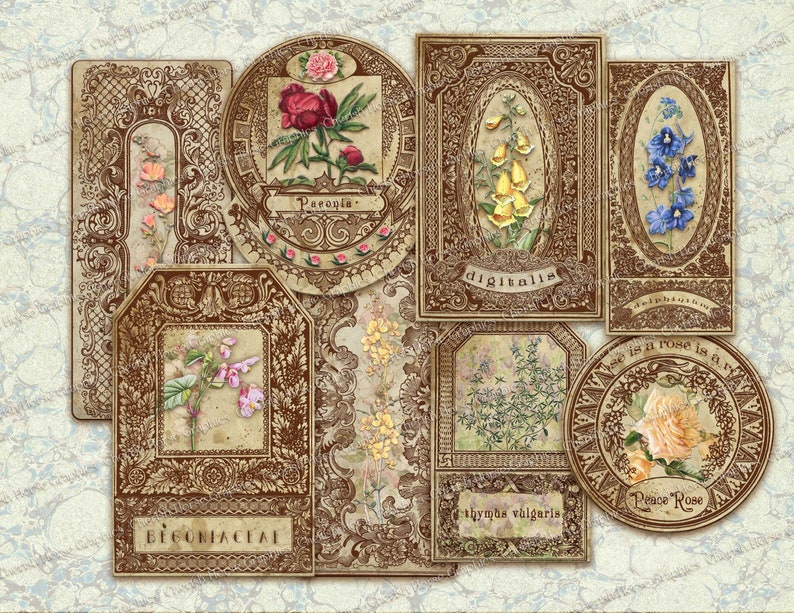 Botanical Labels Instant Download Printable Digital Page Gift Tag ...
