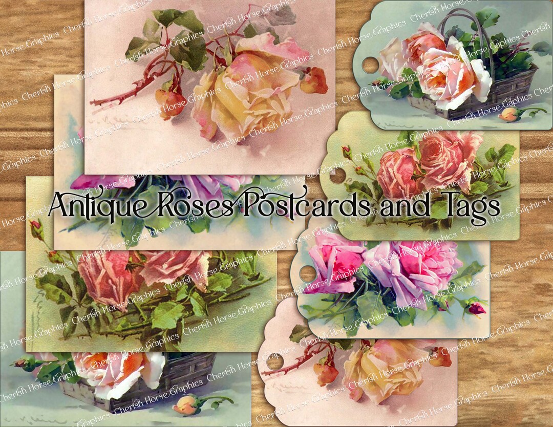 Antique Rose Postcards and Hang Tags - Instant Download Printable ...