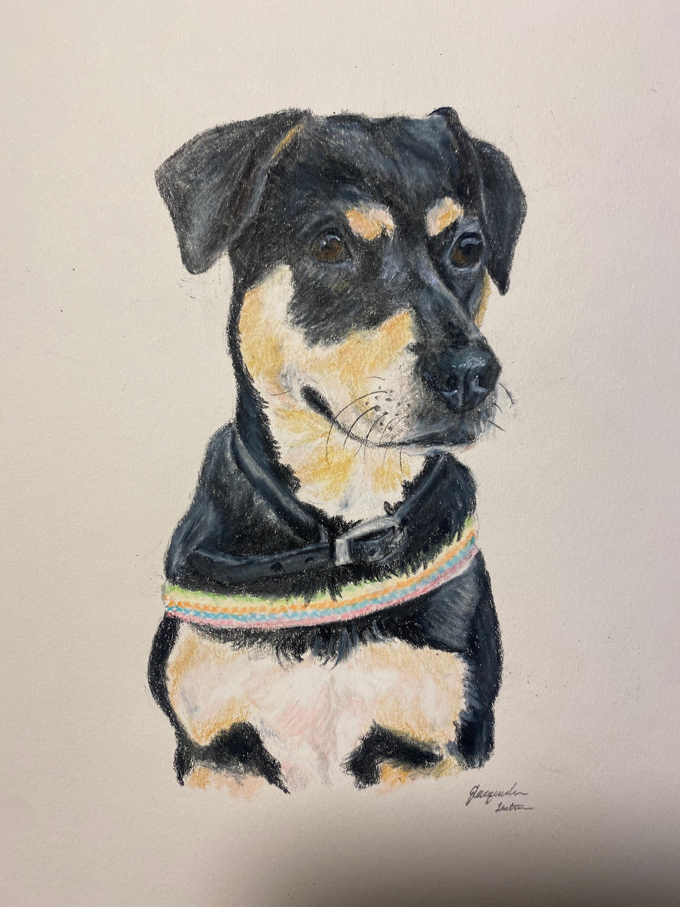 Custom Colored Pencil Pet Portrait - Etsy