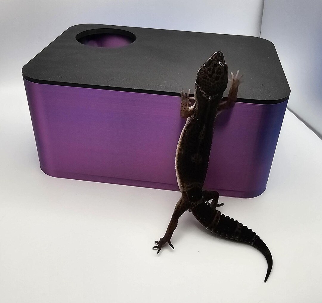Reptile Humid Hide | Lay Box | Reptile Dig Box - Etsy