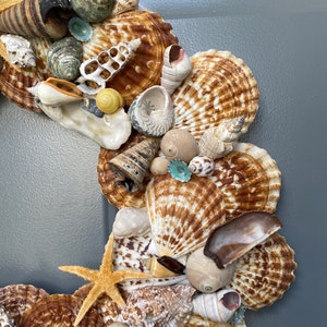 NEW 17 XL Beautiful Real Sea Shell Wreath Wall Hanger With Starfish ...