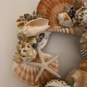 Beautiful 9 Real Seashell Wreath Door Hanger Perfect for Coastal ...
