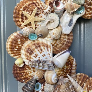 NEW 17 XL Beautiful Real Sea Shell Wreath Wall Hanger With Starfish ...