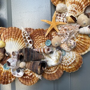 NEW 17 XL Beautiful Real Sea Shell Wreath Wall Hanger With Starfish ...
