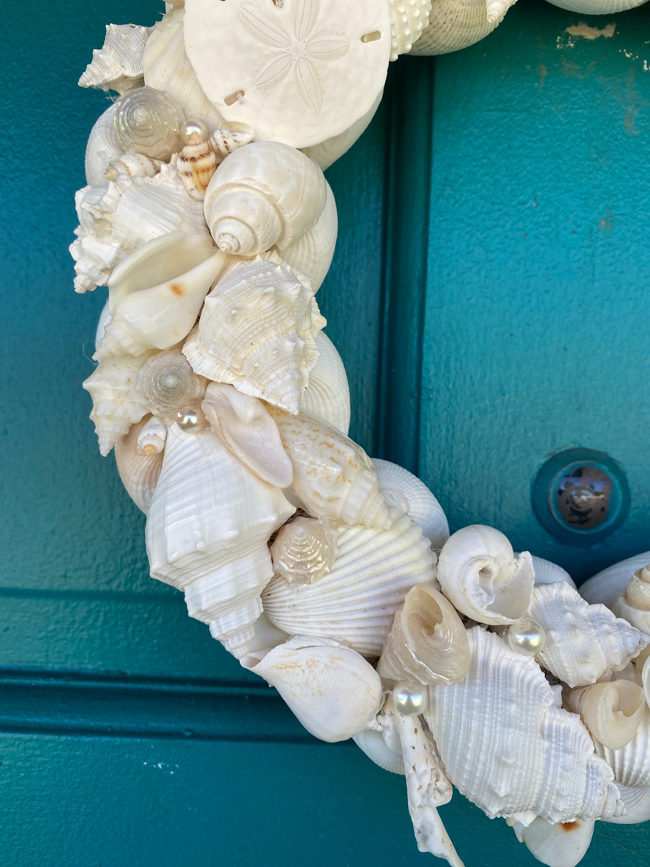 Beautiful 12 White Real Seashell Wreath Door Hanger With - Etsy
