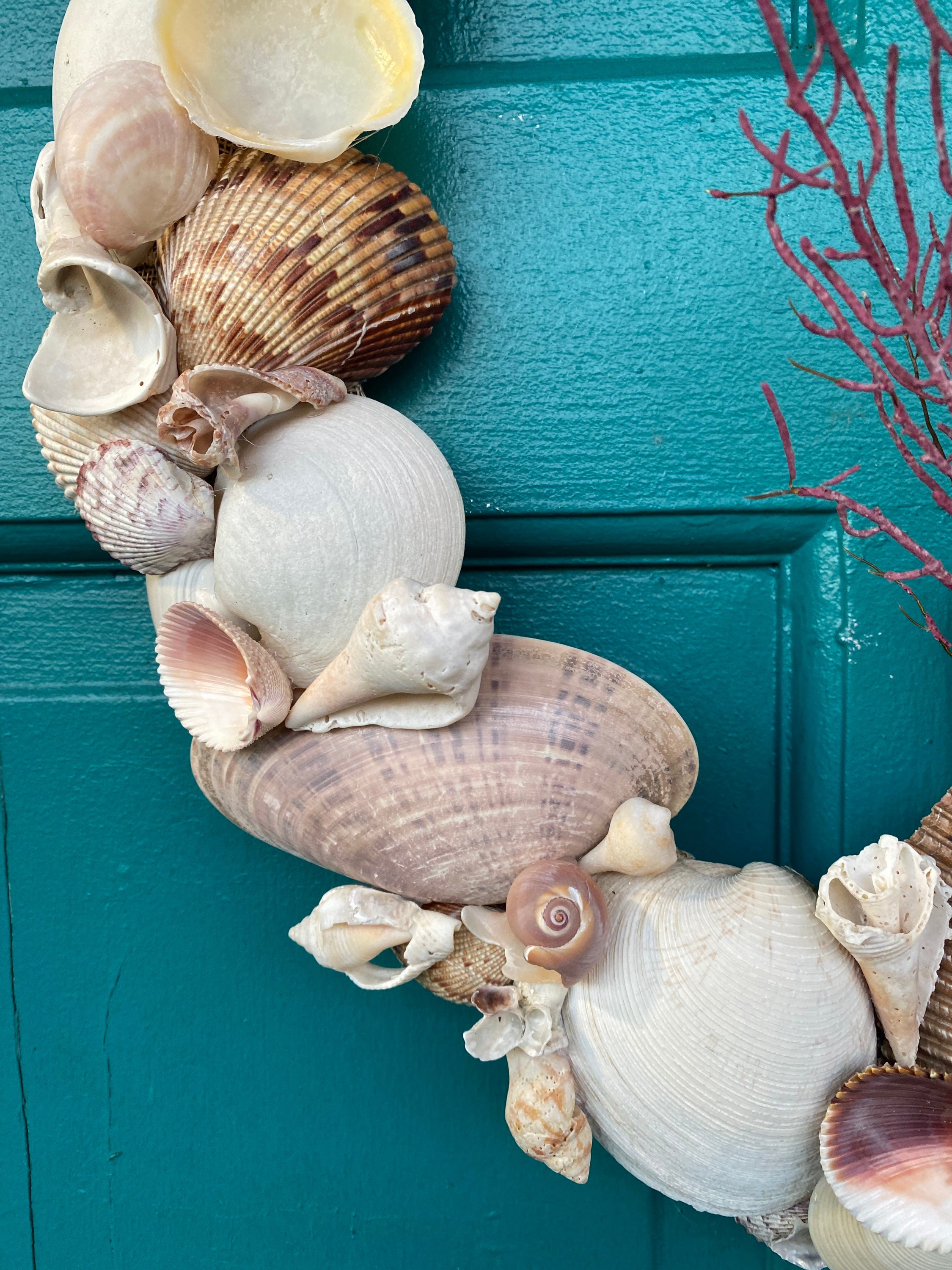 Beautiful Large 20 Sea Shell Wreath With a Rope Accent. This - Etsy