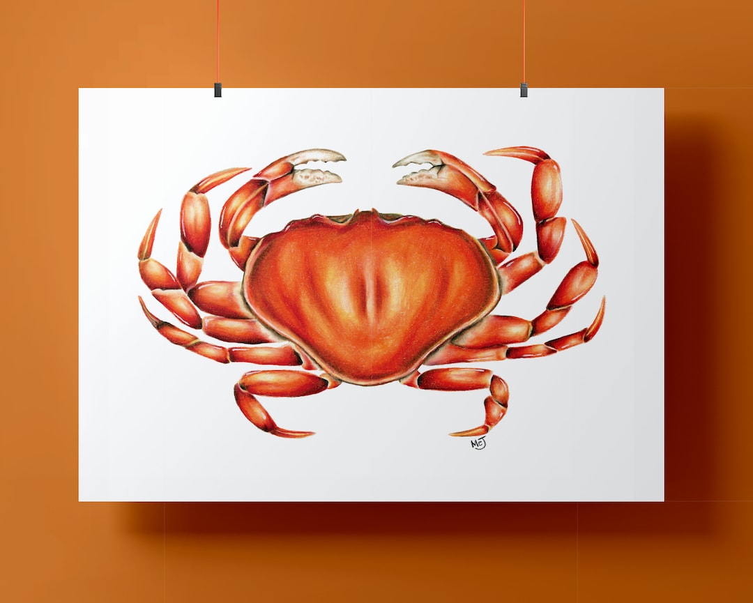 Red Orange Crab Original Colored Pencil Drawing Print Hand Drawn Artist ...