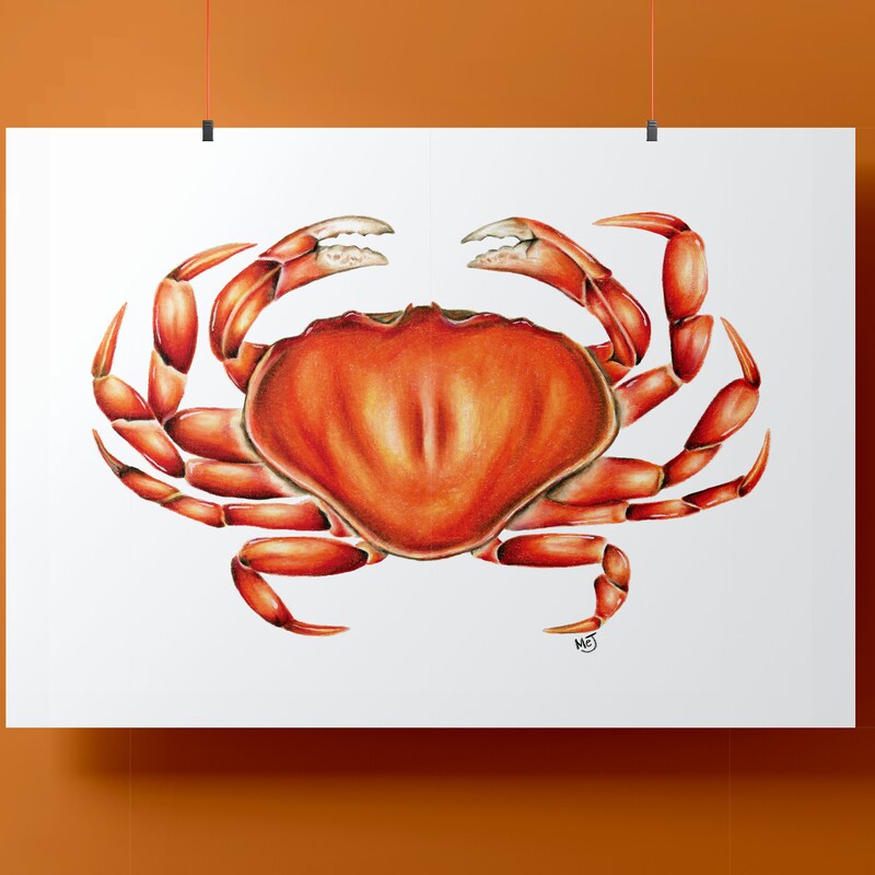 Red Crab Print - Etsy