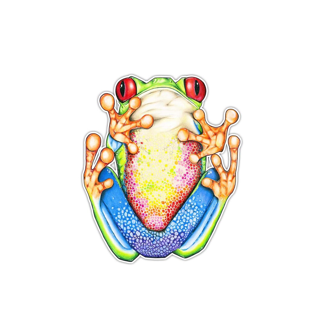 Colorful Tree Frog Decal Colorful Bumper Sticker Cute Car Frog Animal ...