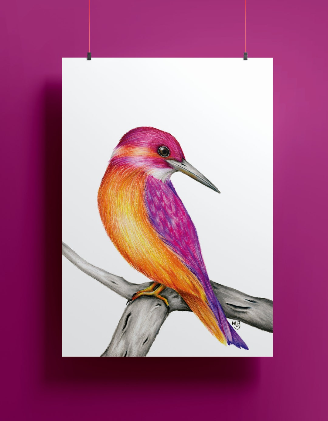 Colorful Pink Orange Bird Original Colored Pencil Drawing Print Hand ...