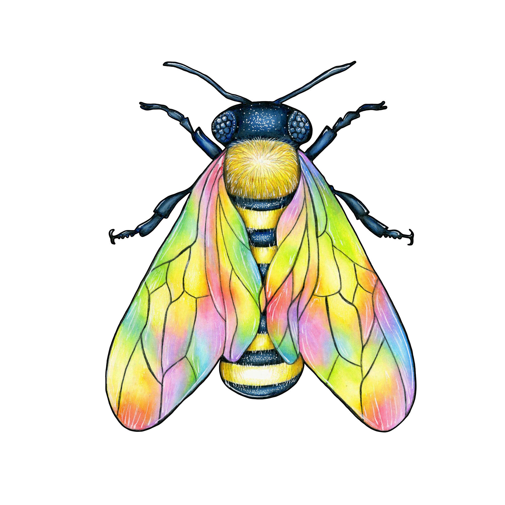 Multi-Colored Bee Decal Colorful Bumper Sticker Cute Car | Etsy