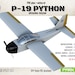 DIY Foam RC Plane - PDF Plan-p19 Python - Instant Download - Etsy