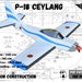 DIY Depron RC Airplane P18 Ceylang-pdf Plan and Template Parkflyer Fun ...