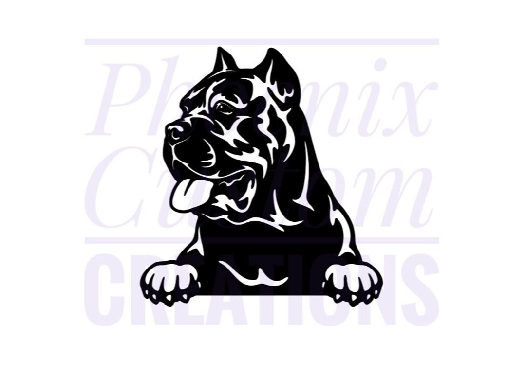 Cane Corso Car Decal - Etsy