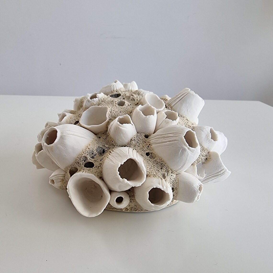 Handmade Barnacles, Ceramics, Porcelain, Barnacles, Ceramics, Handmade ...