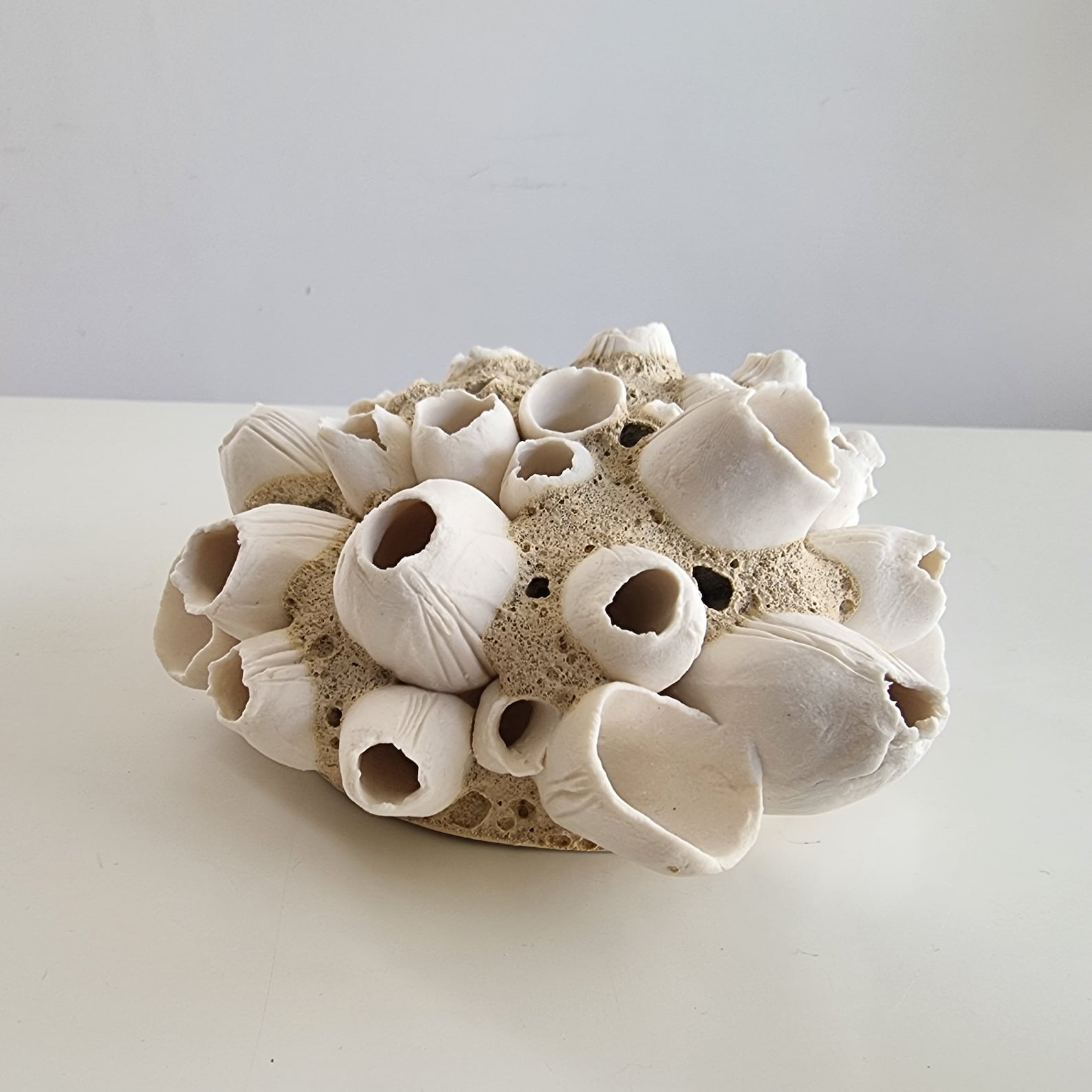 Handmade Barnacles, Ceramics, Porcelain, Barnacles, Ceramics, Handmade ...