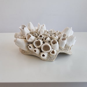 Barnacles Porcelain, Barnacles Porcelain, Handmade and They Are ...