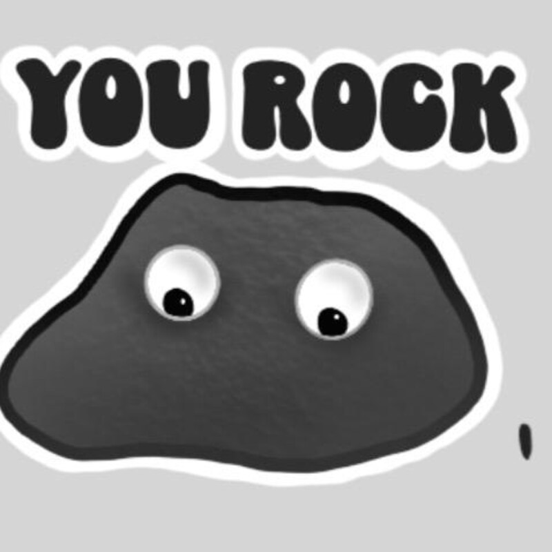 Googly Eye Rock - Etsy