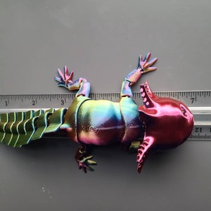 3D Printed Rainbow Ombre Lucky AXOLOTL Articulated Flexi 7" Fidget ...