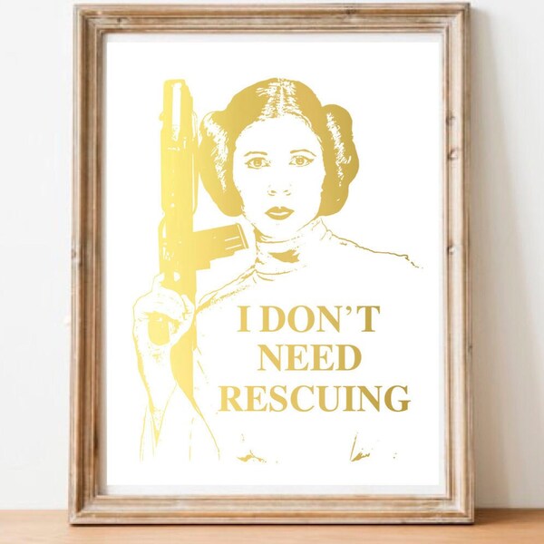 Princess Leia Art Deco - Etsy