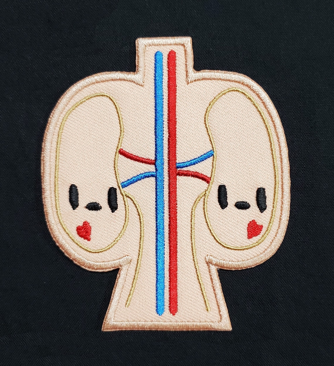 Kidneys Embroidered Iron on Patch 3 X 3.5 Nurse - Etsy UK