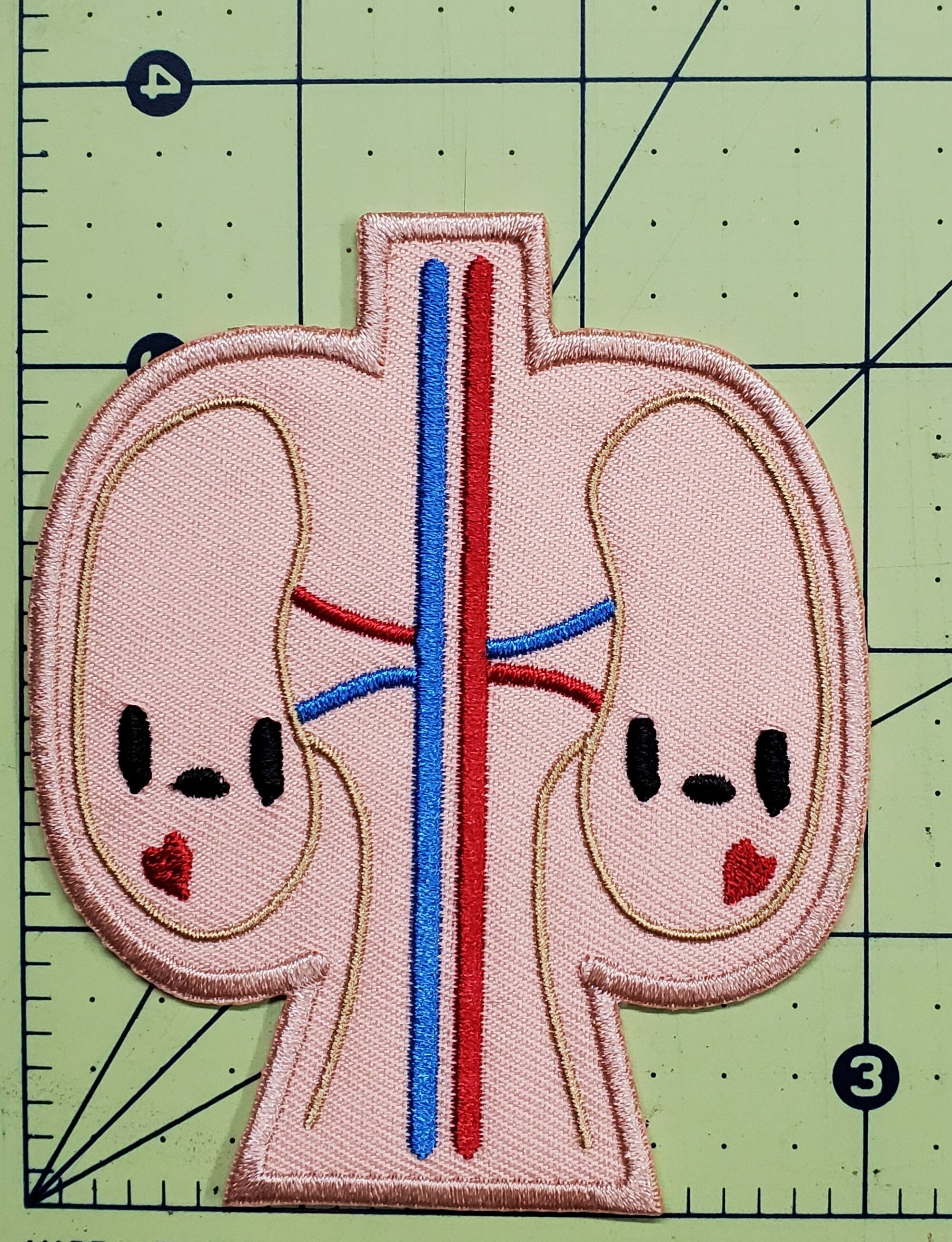 Kidneys Embroidered Iron on Patch 3 X 3.5 Nurse - Etsy UK
