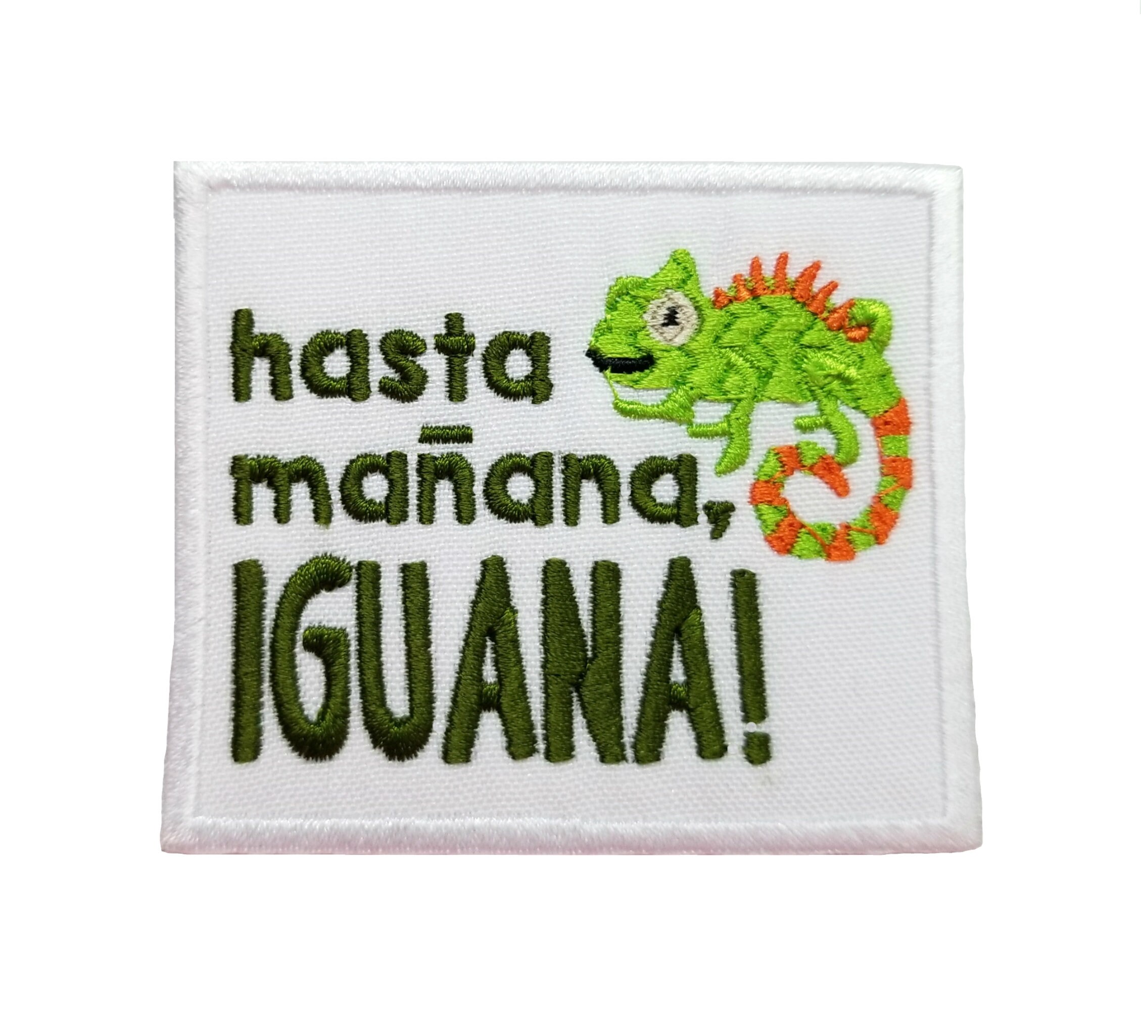 Manana Iguana Cover Book