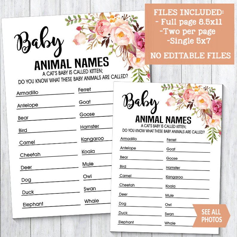 Pink Flowers Guess Baby Animals Name Baby Shower Game Pink | Etsy
