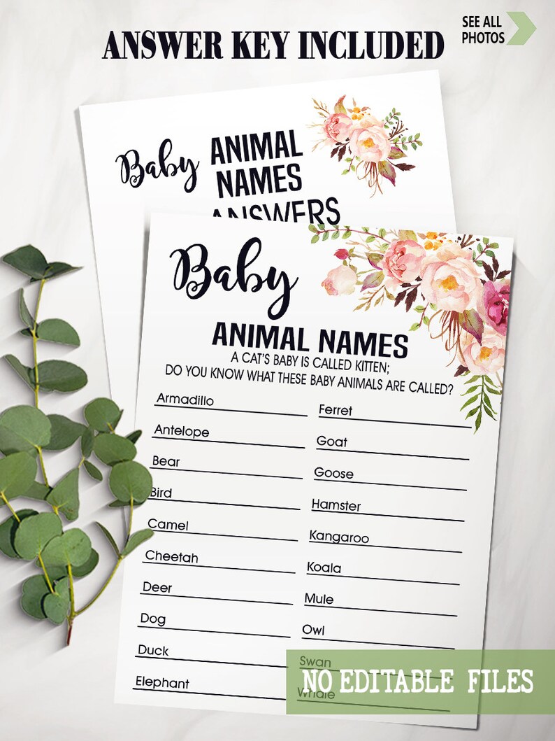 Pink Flowers Guess Baby Animals Name Baby Shower Game Pink | Etsy