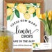 Citrus Lemons Bridal Shower Game: How Many Lemon Drops (ready to Print ...