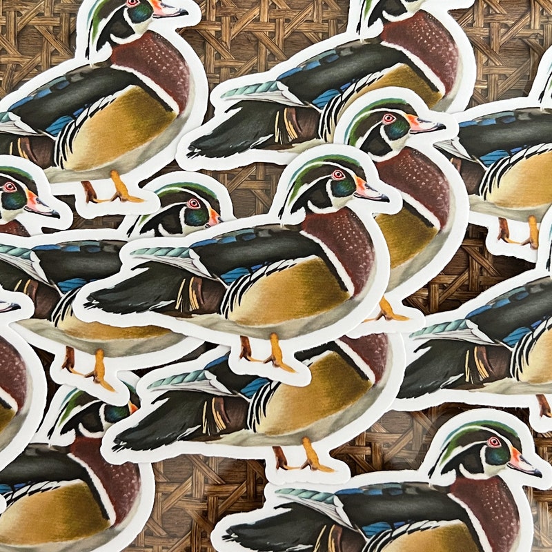 Wood Duck - Etsy