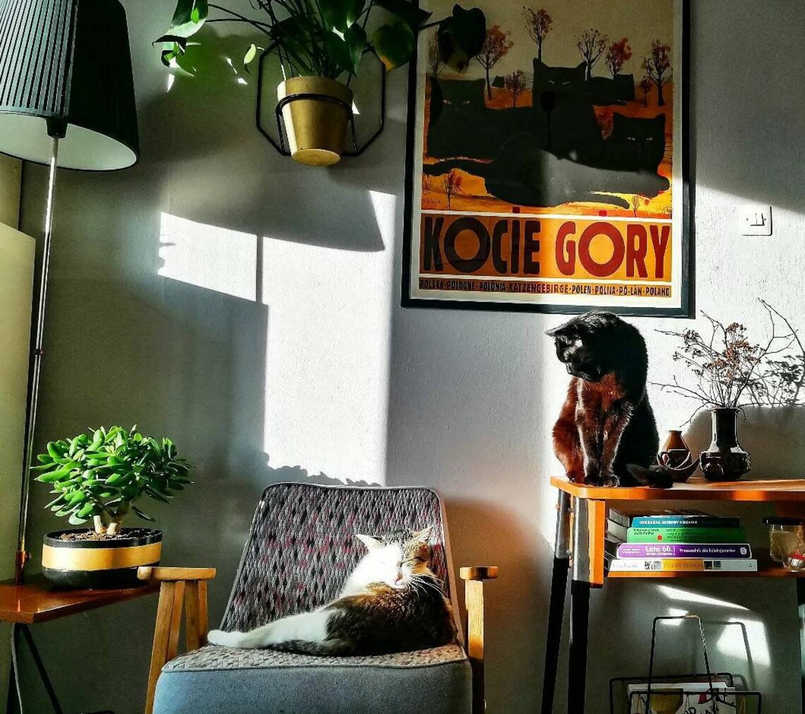 Cat Mountains Modert Tourism Poster by Richard Kaja Cat Lover Animal ...