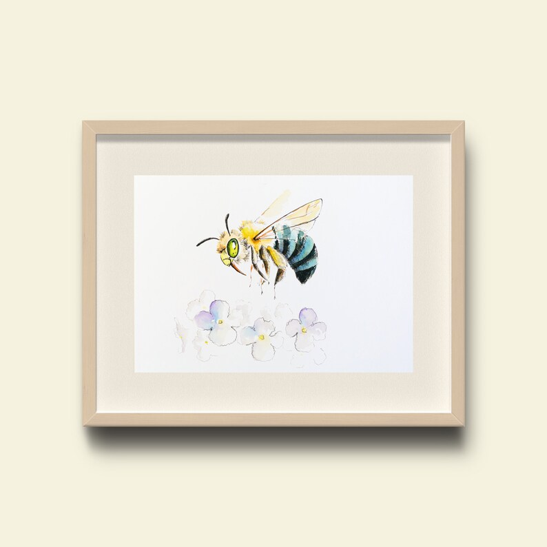 Blue Banded Bee Australian Native Bee Watercolour Fine Art Giclee Print ...