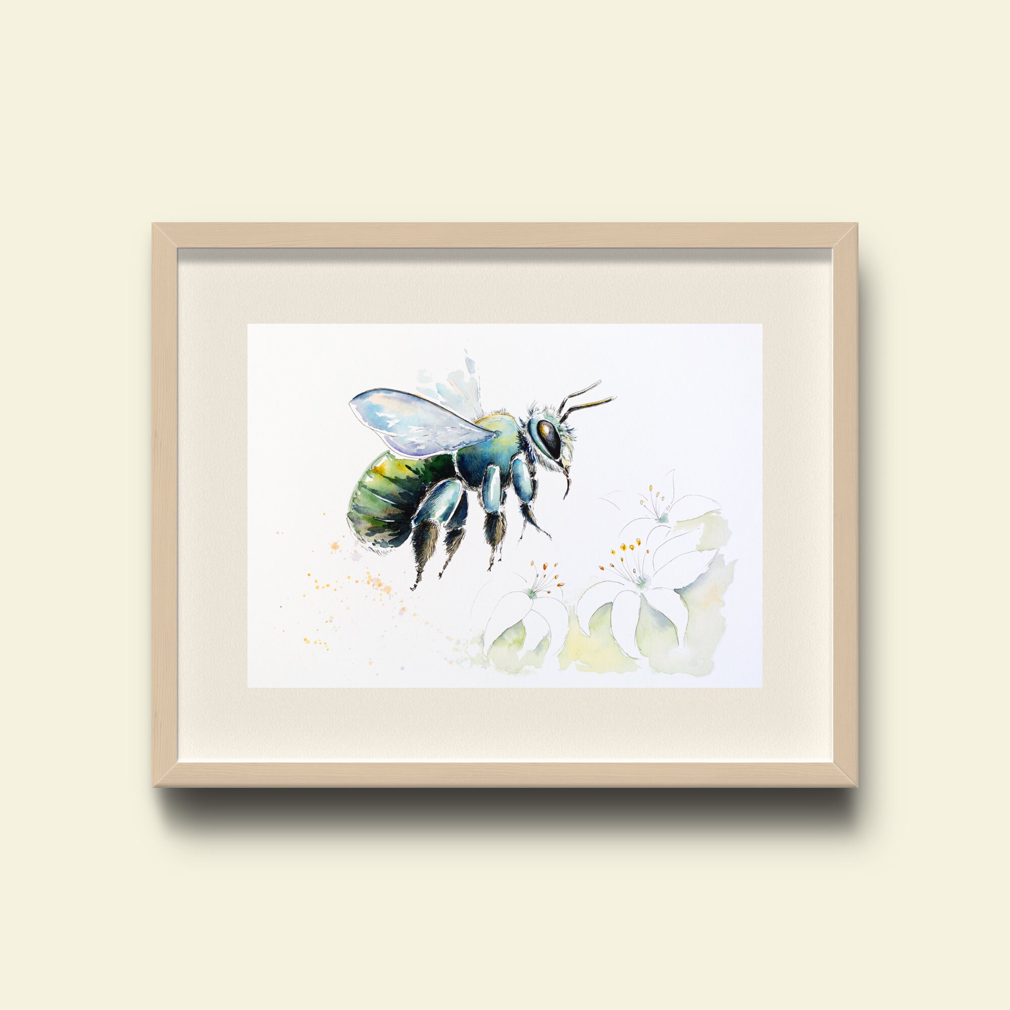 Green Carpenter Bee, Australian Native Bee Fine Art Giclee Print ...