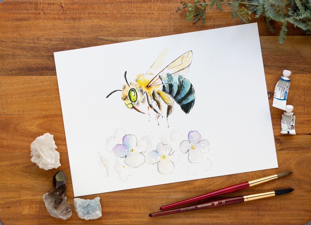 Blue Banded Bee Australian Native Bee Watercolour Fine Art Giclee Print ...