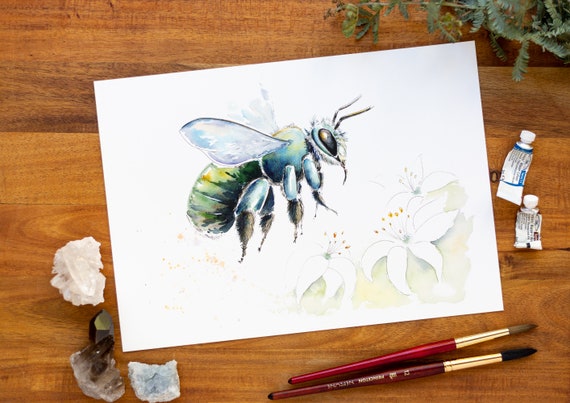 Green Carpenter Bee Australian Native Bee Fine Art Giclee | Etsy