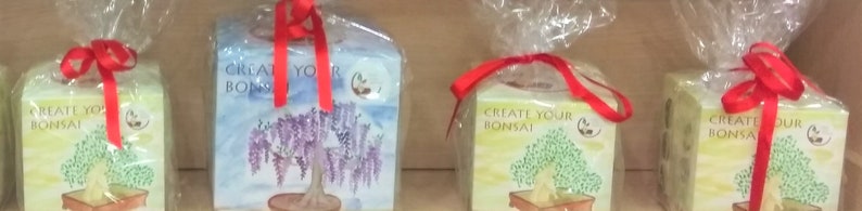 Tiny Mini Bonsai - Complete Bonsai Tree Starter Kit to Grow 4 Bonsai ...