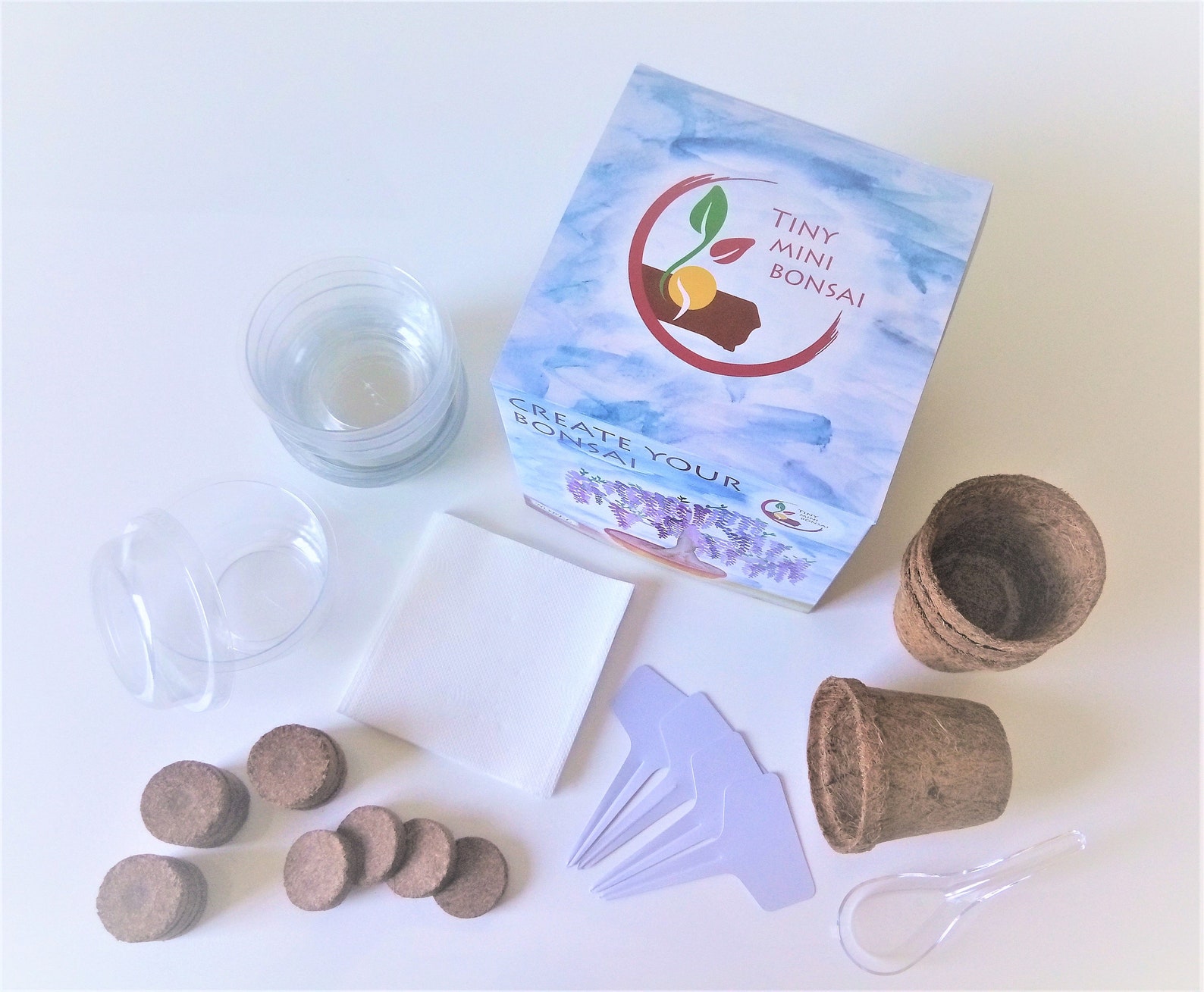 Tiny Mini Bonsai - Complete Bonsai Tree Starter Kit to Grow 4 Bonsai ...