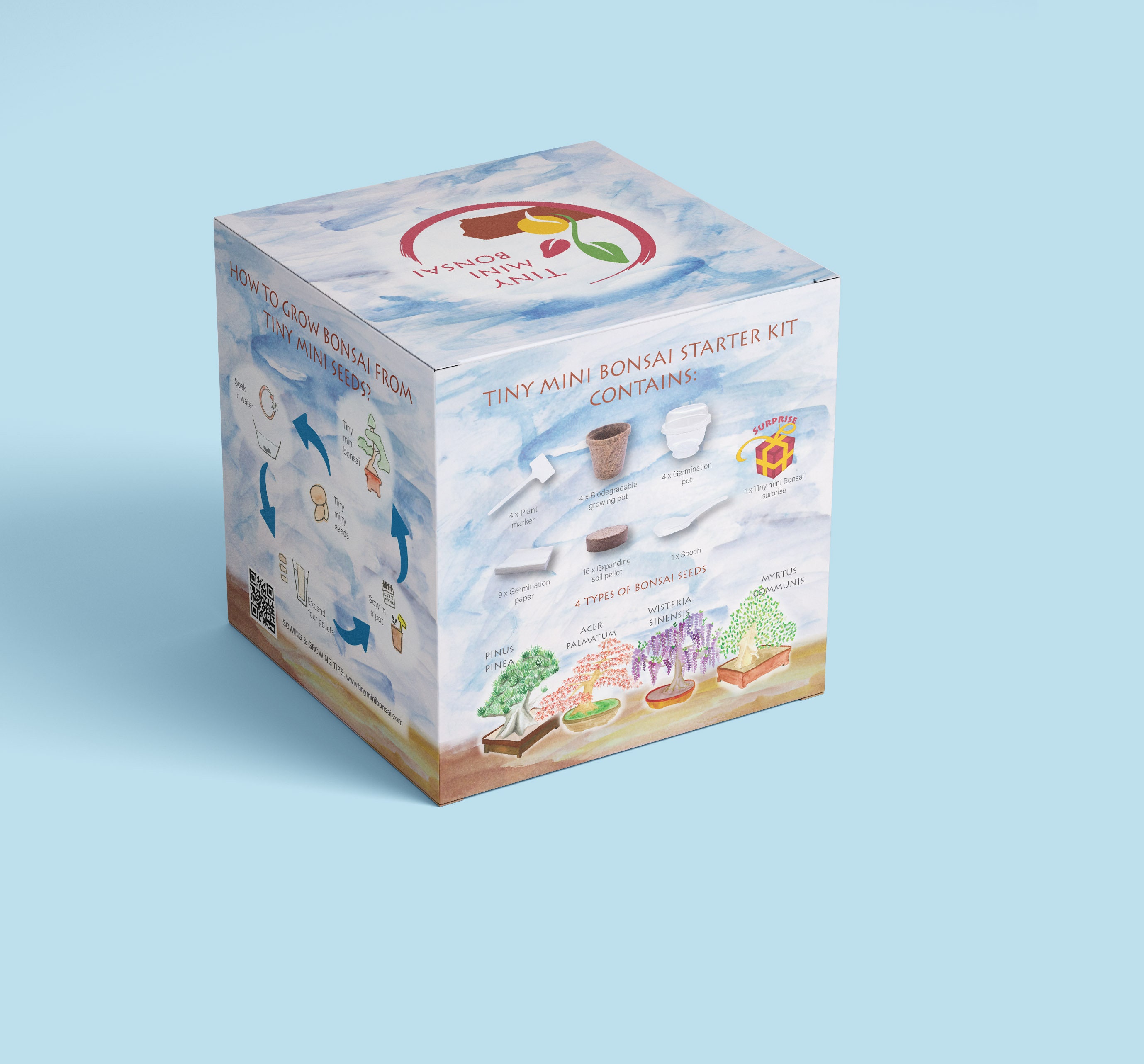 Tiny Mini Bonsai - Complete Bonsai Tree Starter Kit to Grow 4 Bonsai ...