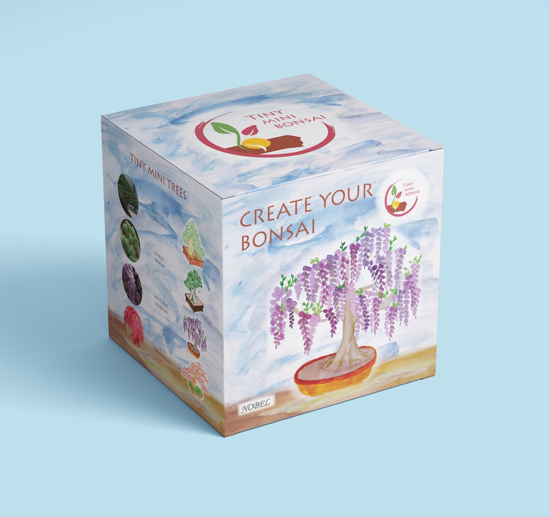 Tiny Mini Bonsai - Complete Bonsai Tree Starter Kit to Grow 4 Bonsai ...