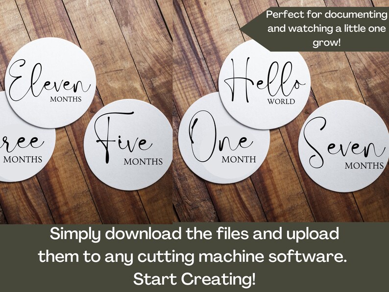 Baby Monthly Milestone Sign SVG and PNG Milestone Disc - Etsy