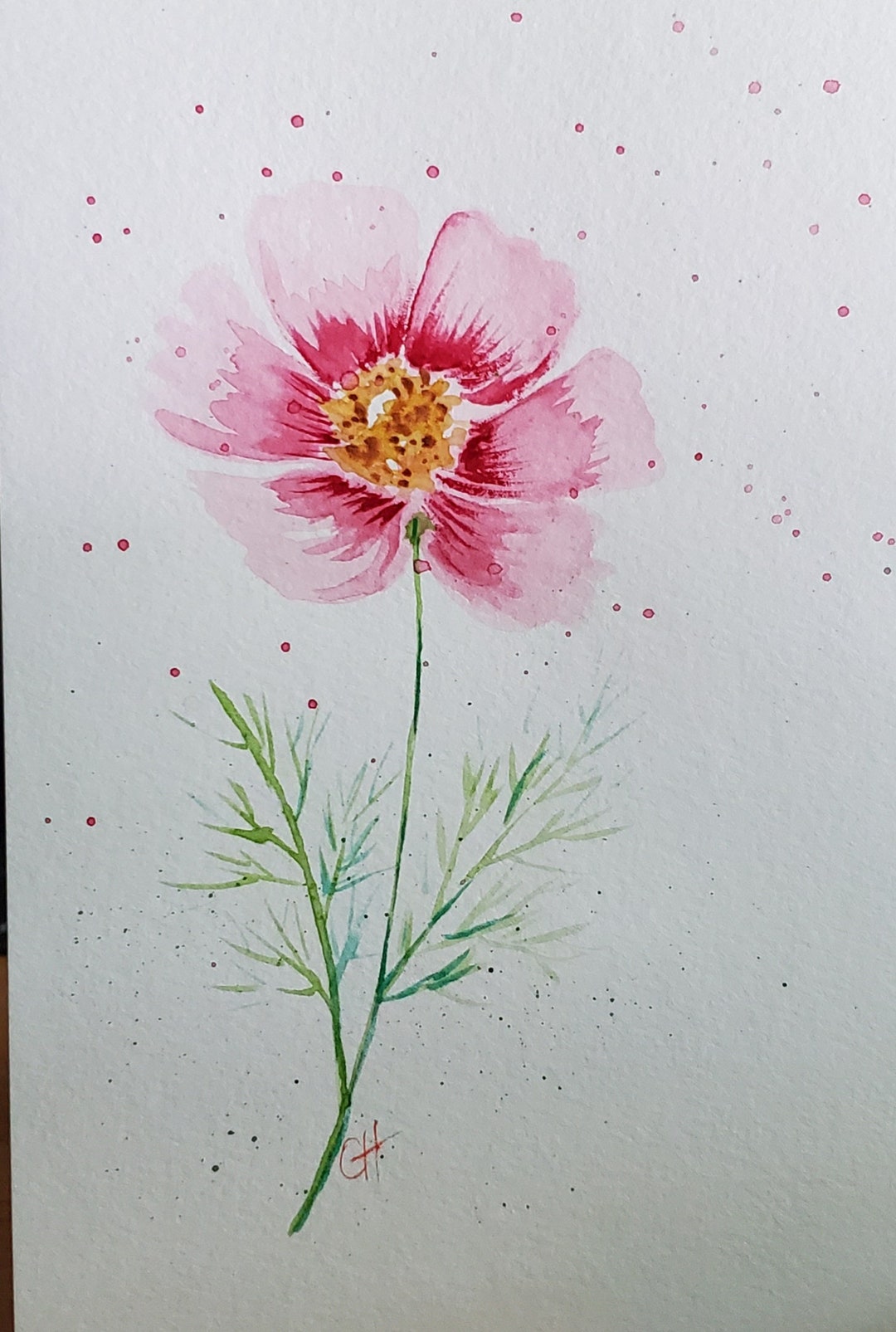 Light Pink Cosmo Watercolor - Etsy
