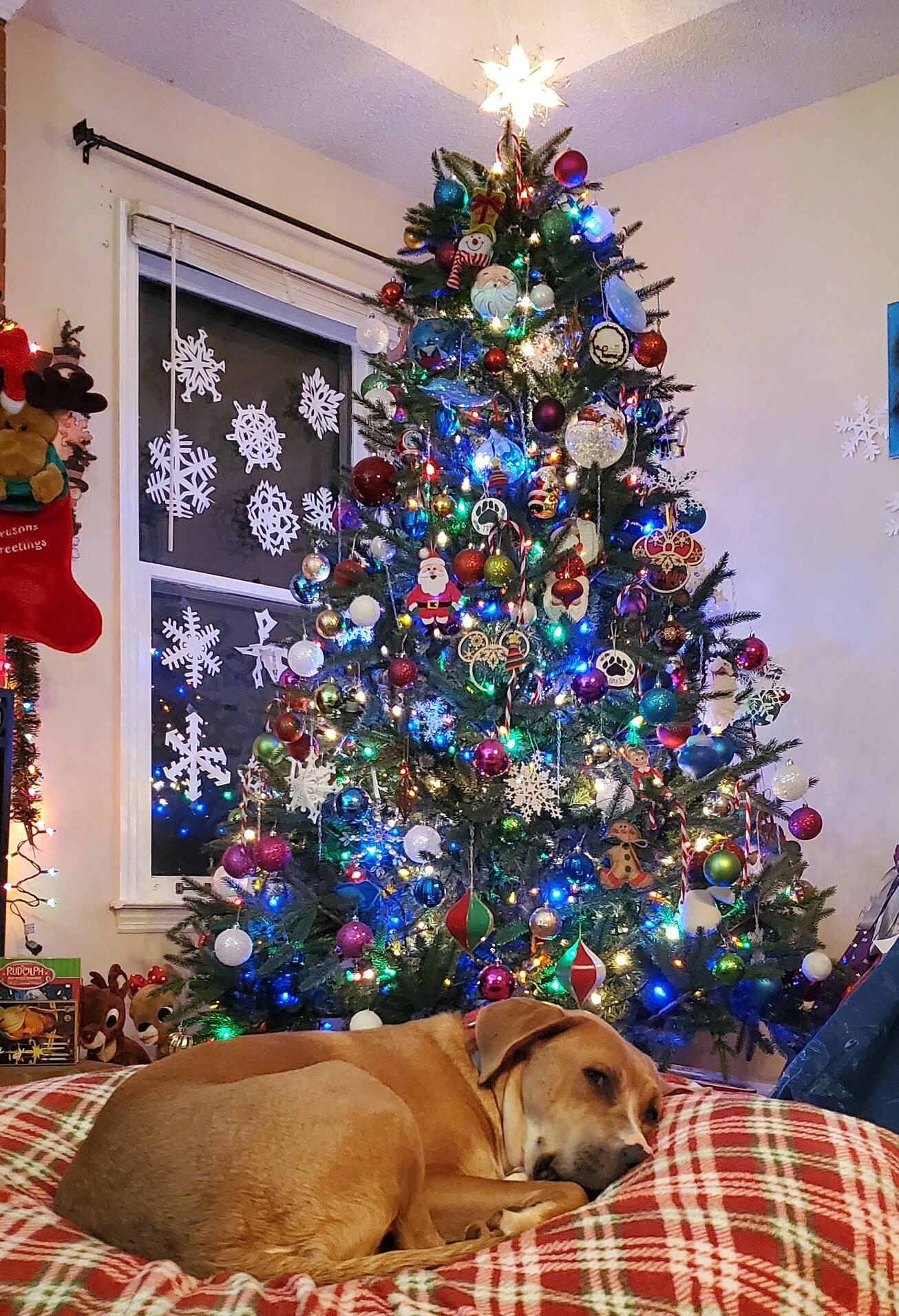 Handmade Icicles From Recycled Plastic - Etsy