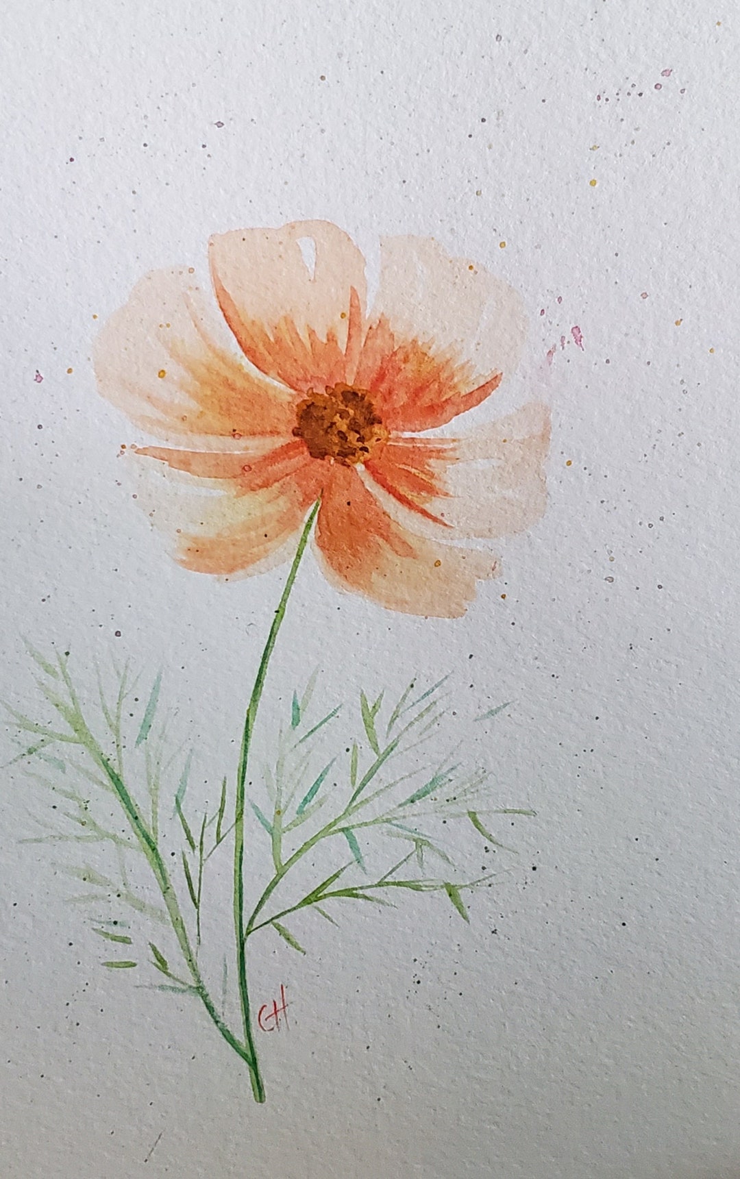 Peach Cosmo Watercolor - Etsy