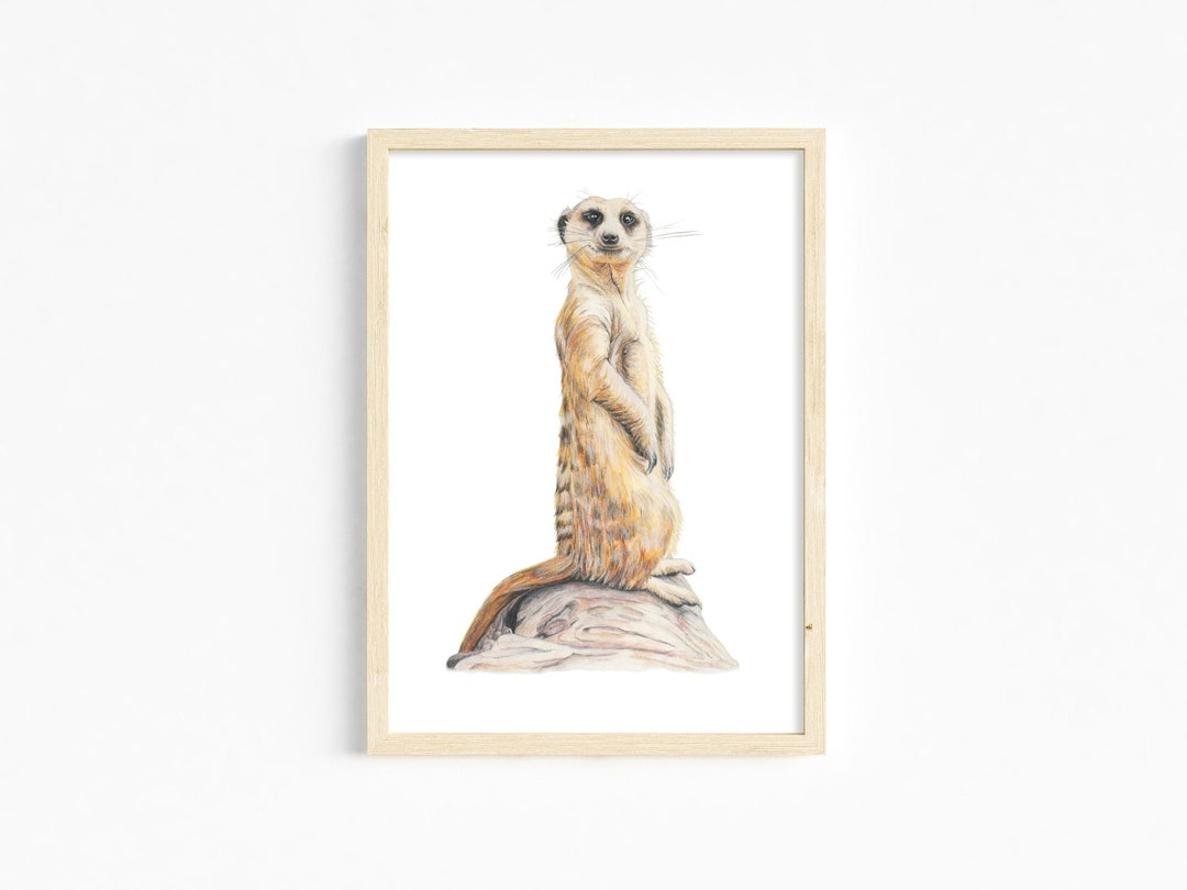 Meerkat Art Print, Watercolour Meerkat Painting, Meerkat Gifts for Kids ...
