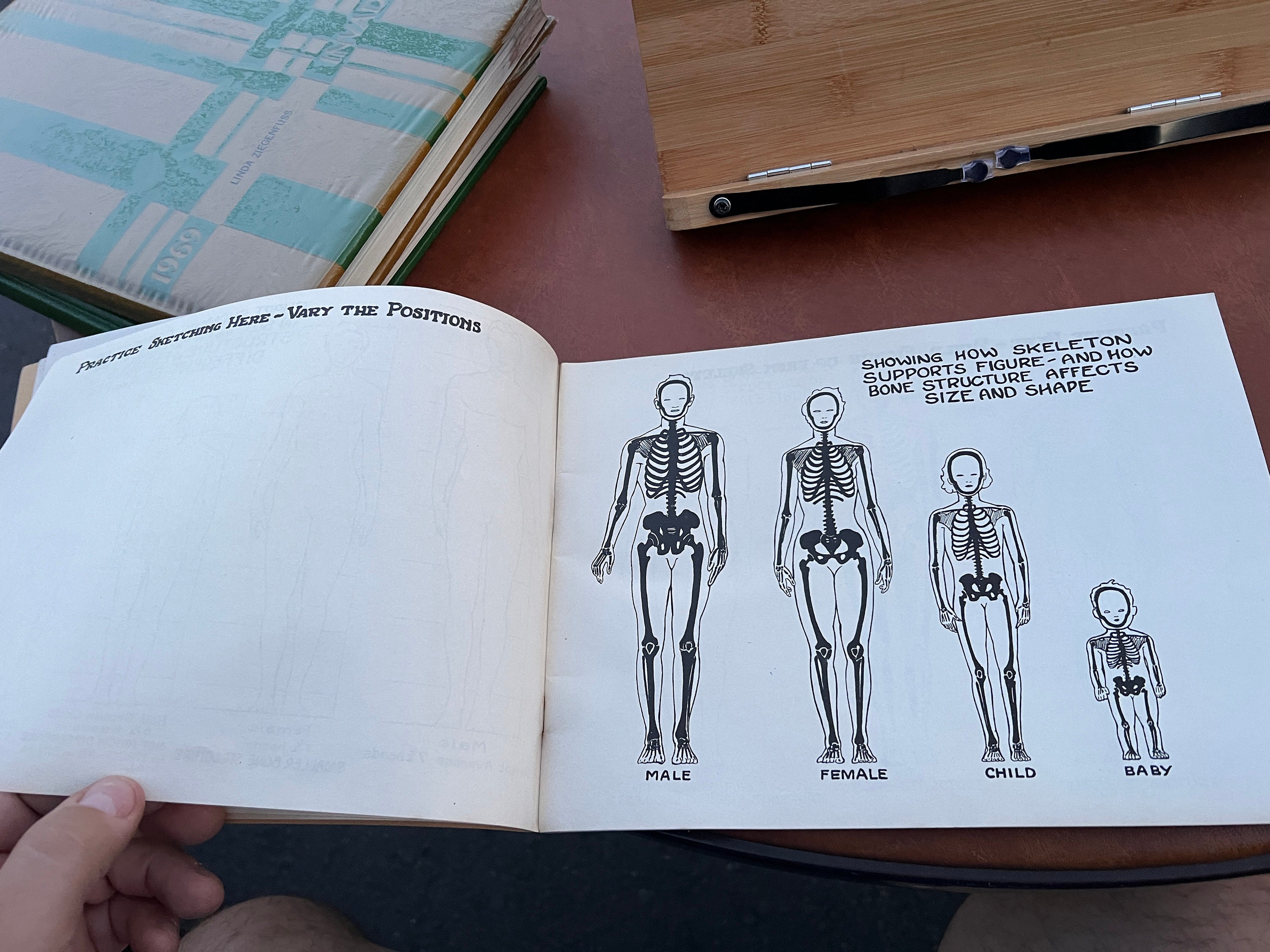 Simplified Anatomy of the Human Figure: A Guide to Drawing for - Etsy